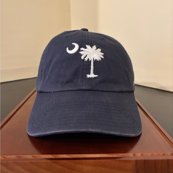 47 | Accessories | South Carolina Dad Hat | Poshmark